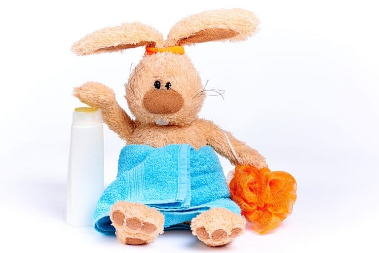 How To Bathe a Rabbit? - How to clean your bunny. - Details for ...