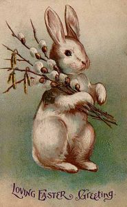 50+ Famous Rabbits From Literature, Media, Fiction - With Pictures