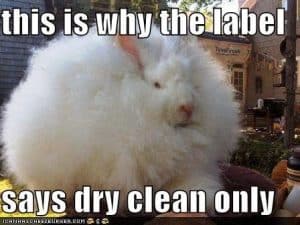 The Funniest Rabbit Memes