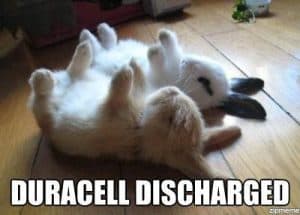 The Funniest Rabbit Memes