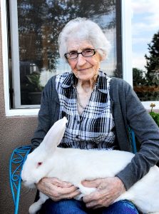 The Largest Rabbit Breed - Plus the world record largest bunny