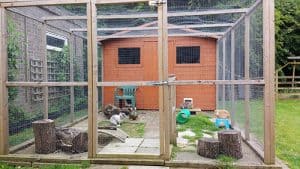 Rabbit Sheds - The Ultimate Outdoor Bunny Hutch With Pictures