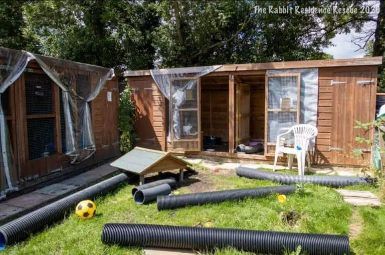 Rabbit Sheds - The Ultimate Outdoor Bunny Hutch With Pictures