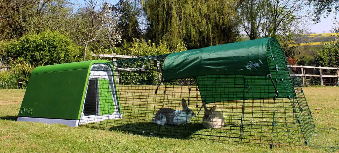 Best Outdoor Rabbit Hutch With Run