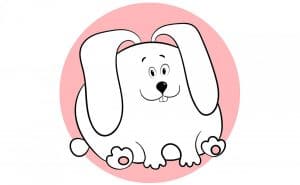 Lazy Bunny Tips & Tricks - From Fat To Fit Rabbit