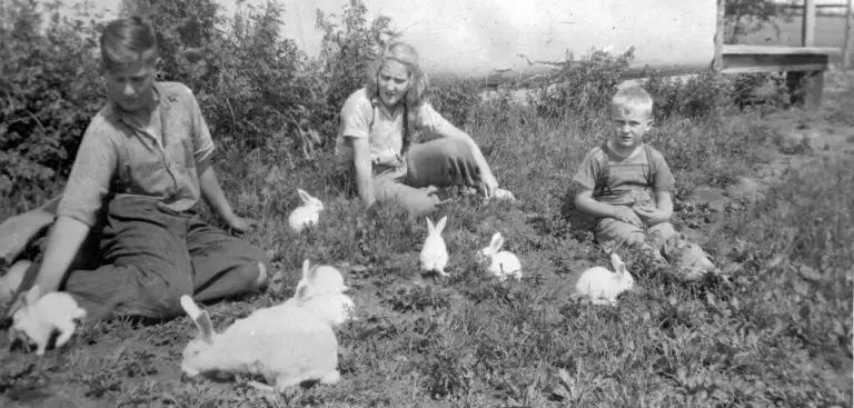 How to Find A Lost Bunny Rabbit -- A 10 Step Plan