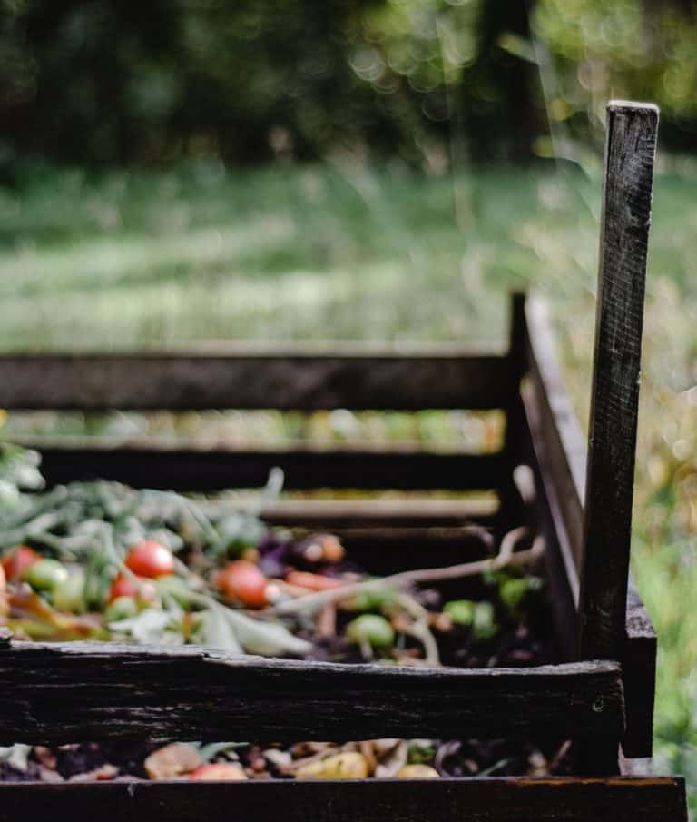 Rabbit Litter Box - Everything You Need To Know From The Rabbit Pros