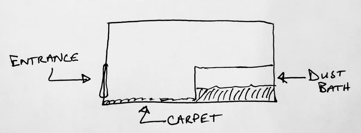 Why Do Rabbits Roll In Dirt? Bunny Dust Baths Facts