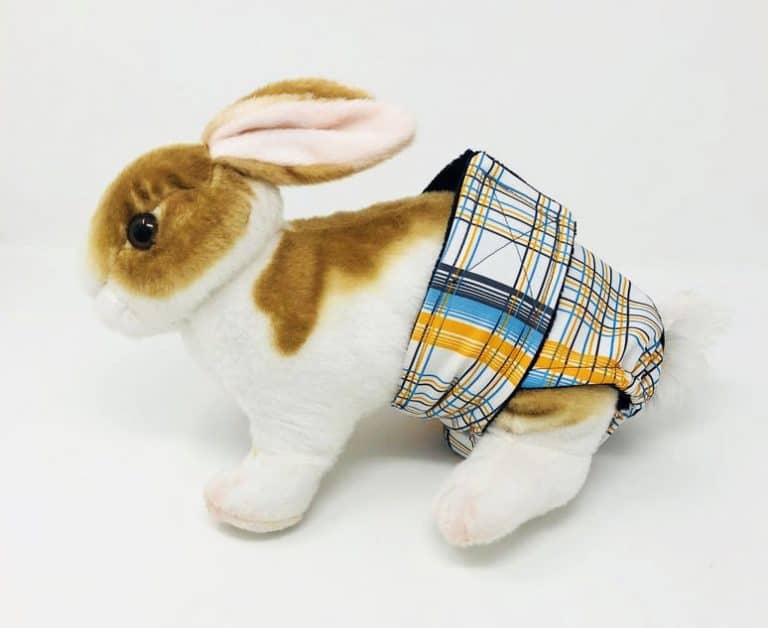Bunny Diapers - The Dirty Truth About Rabbit Diapers