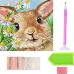 13 Extraordinary Gifts For Rabbit Lovers For 2021