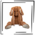 25 Common Rabbit Behaviors - Bunny body language guide.