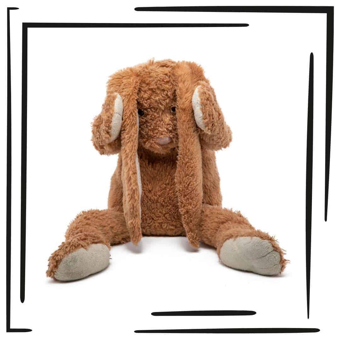 25 Common Rabbit Behaviors - Bunny body language guide.