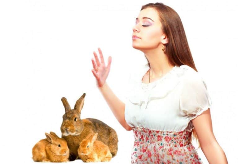 Rabbit Urine Smell - Tips to prevent rabbit pee odor.