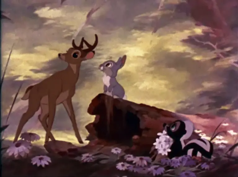 50+ Famous Rabbits From Literature, Media, Fiction - With Pictures