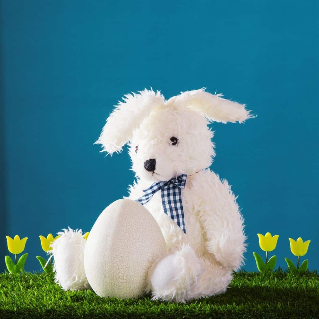 20 Signs A Pet Rabbit Is Bored + 20 Tips to Cure It.