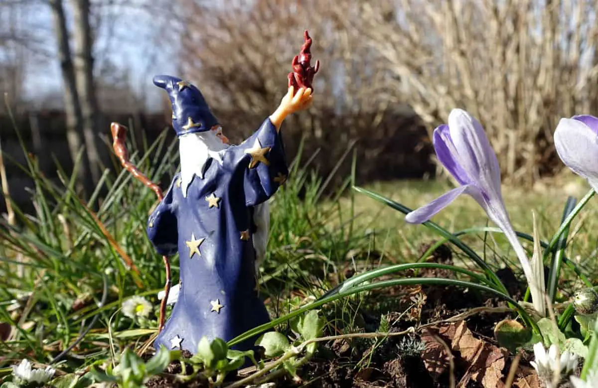 Boy Rabbit Names: 1,800 Name Ideas For Male Bunnies